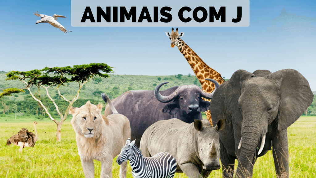 Animais Com J 【Lista Completa】